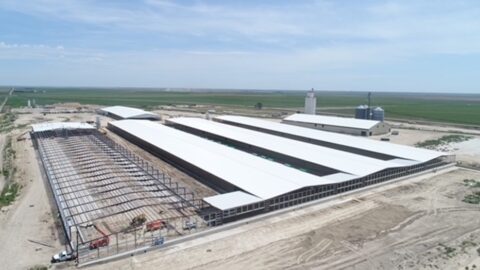 10,000 COW DAIRY COMPLEX | Ag Property Solutions